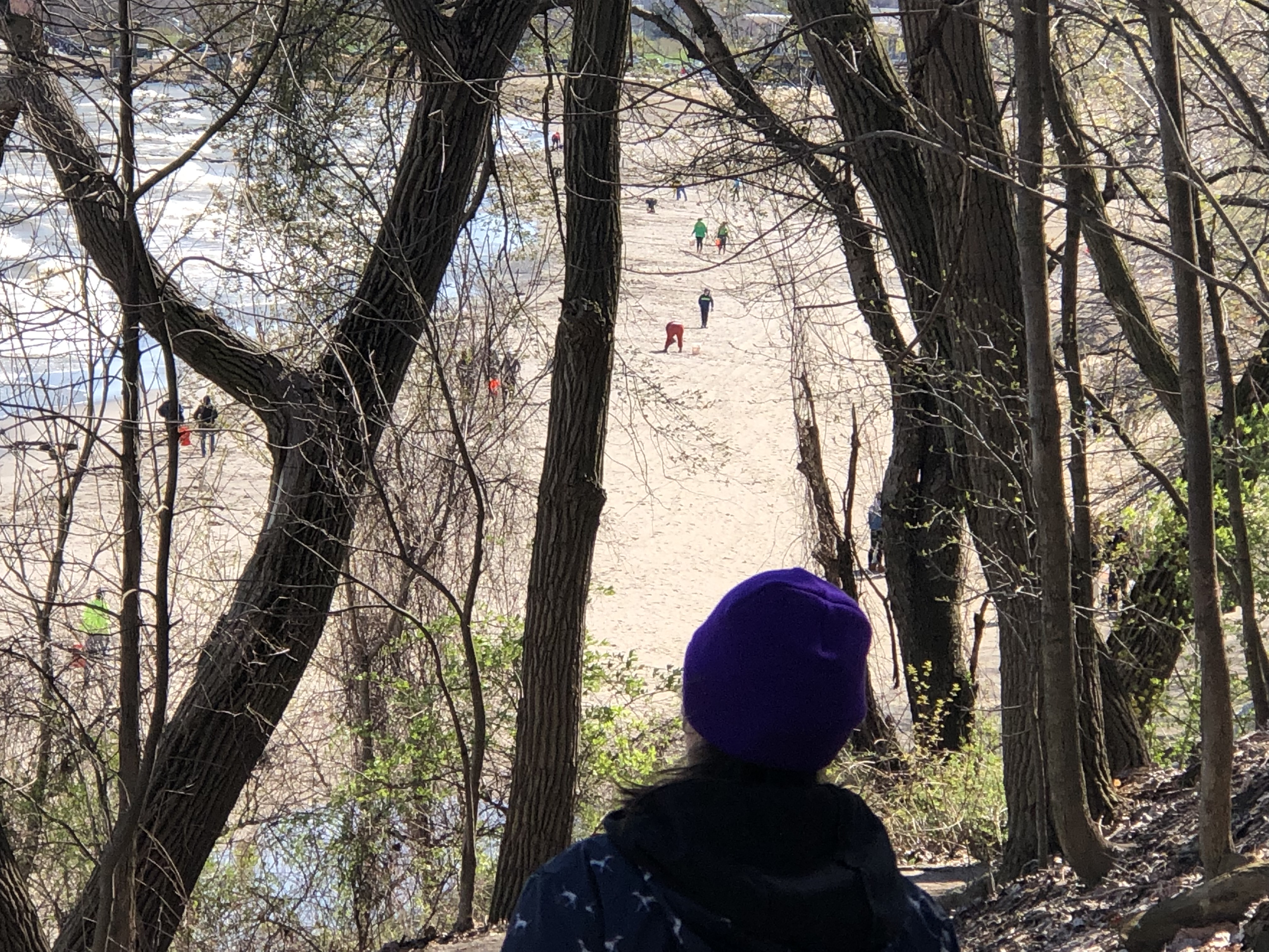 Drink Local Drink Tap Leads Edgewater Beach Clean Up Event – Broadcast ...