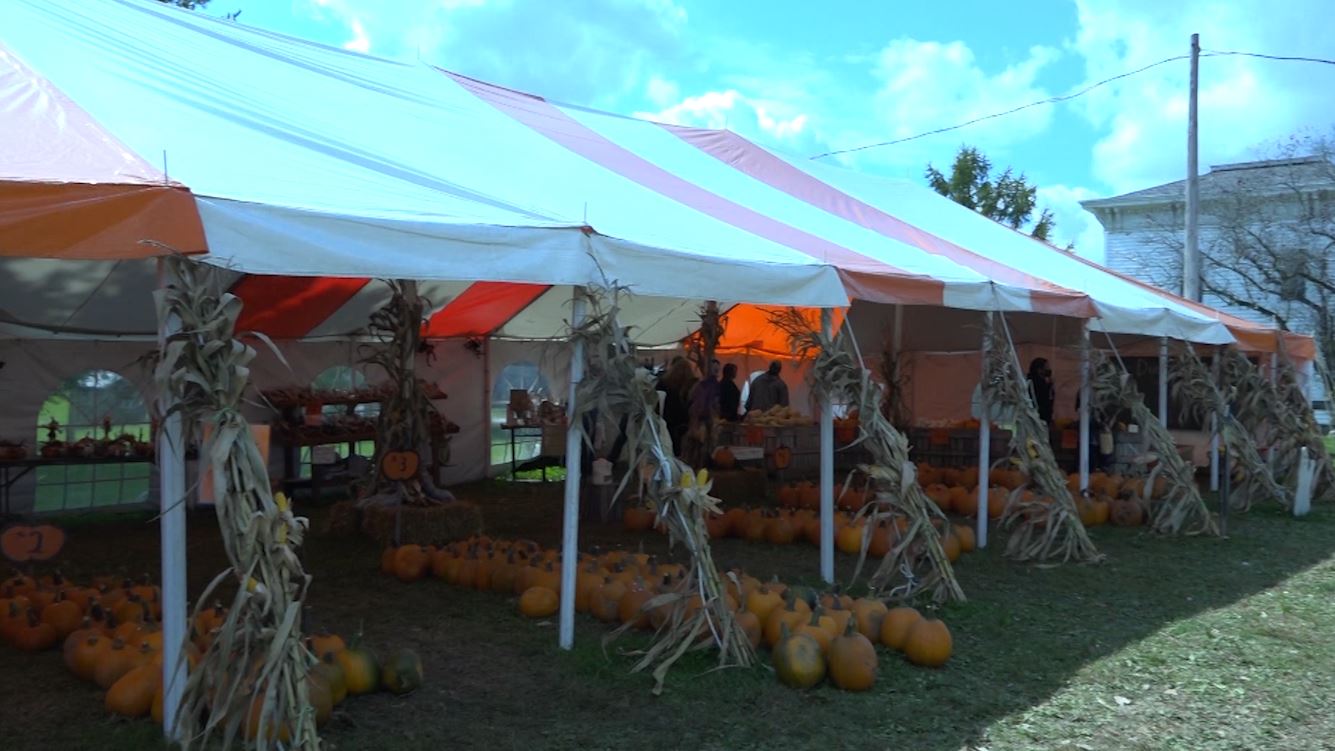 Local Pumpkin Patch Keeping Patrons Safe During COVID-19 – Broadcast ...