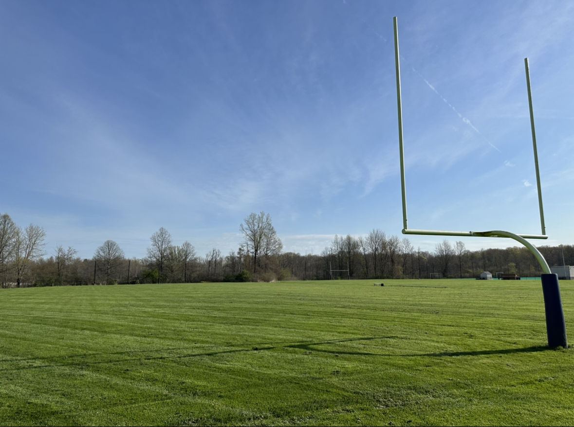 Players want a more natural playing surface – Broadcast Reporting